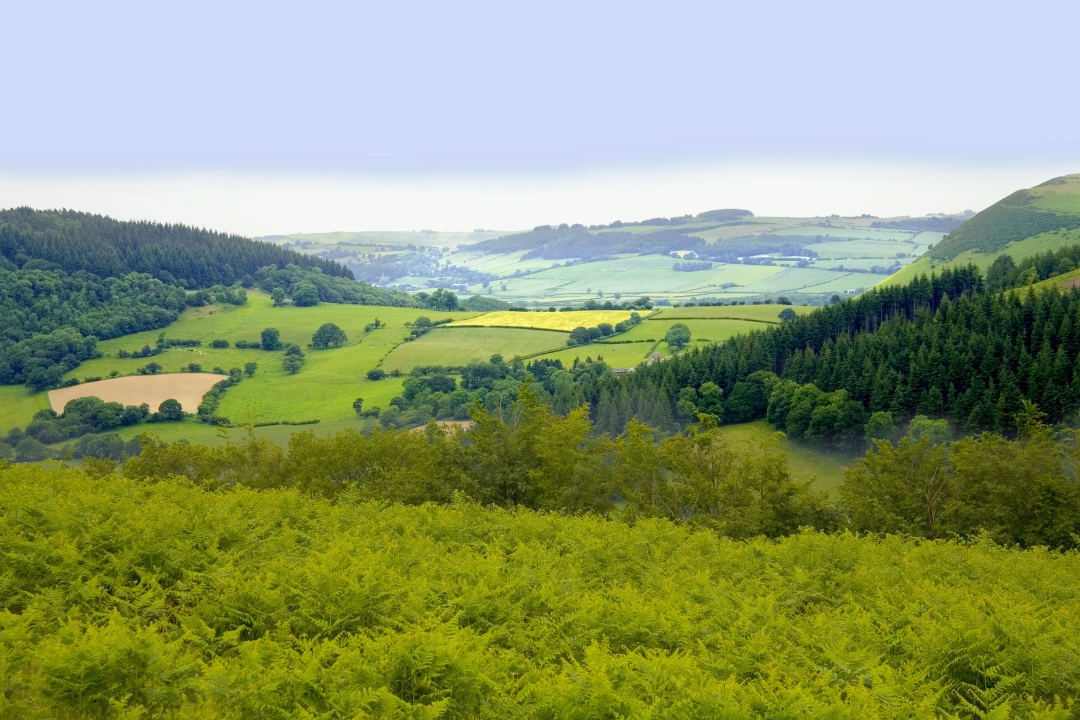 Exploring hidden gems of the Wye Valley - Visit Ross On Wye