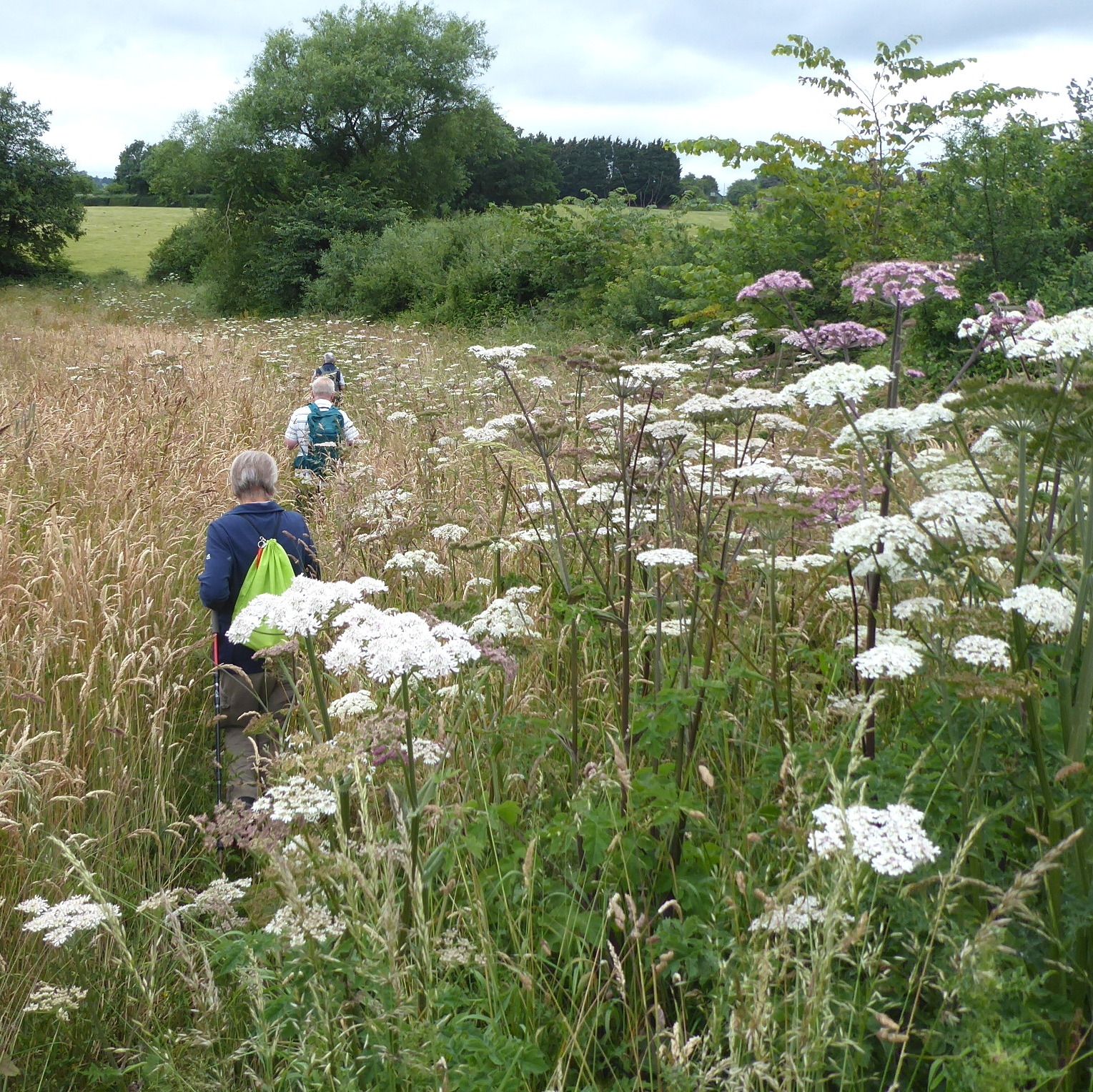 Ross Walking Festival - Visit Ross On Wye